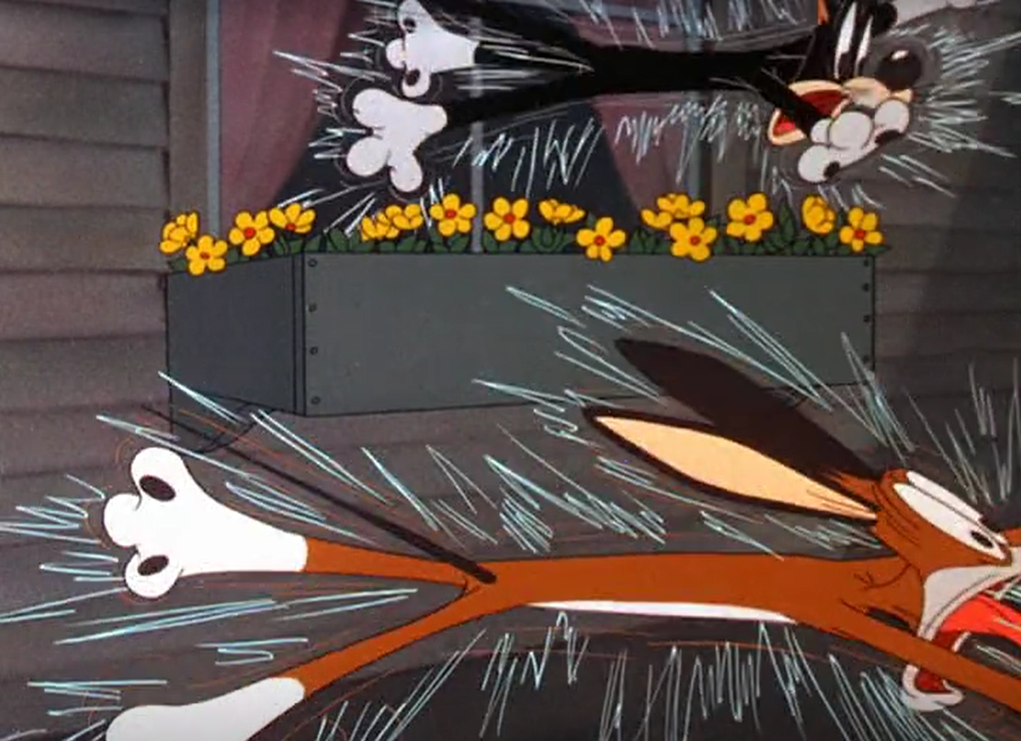 Warner Bros cartoons 1937-1949 - Golden Age of Animation - Yesterday's Joe